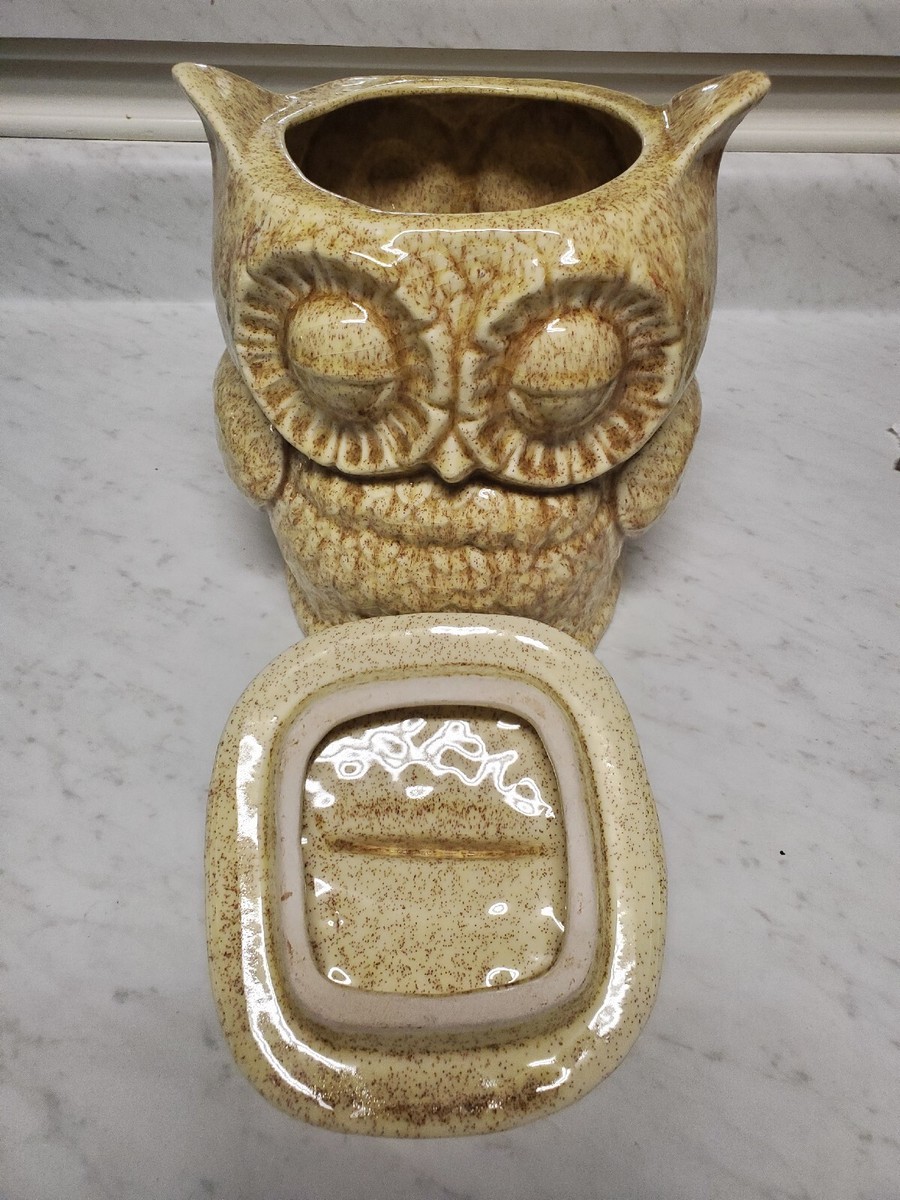 Vintage 1970s Smoked Glass Owl Cookie Jar Large Brown Vintage Brown