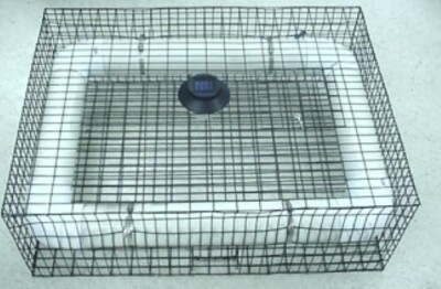 Frog Trap with Vinyl Coated Galvanized Wire - Size: 23" x 23" x11" HIgh ...