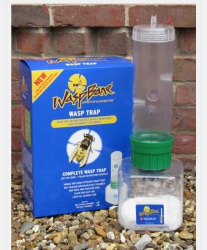 Professional Wasp Trap Highly Efficient Easy to Use, Empty & Clean ...