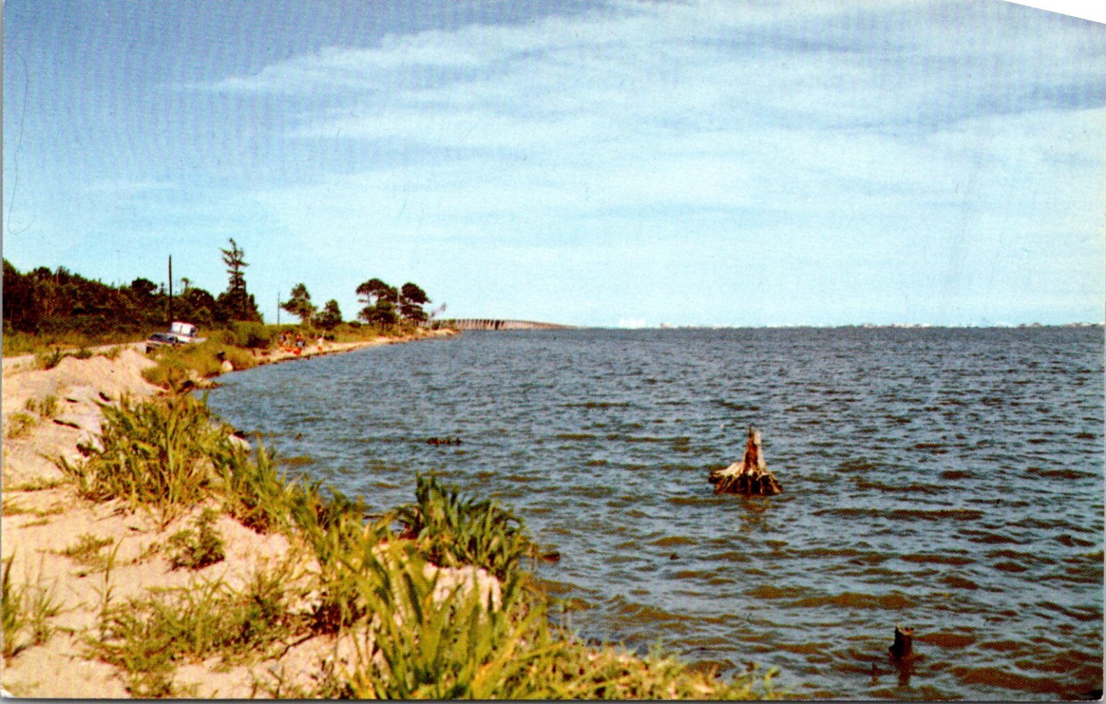 Greetings from Ocean City Maryland Assawoman Bay Postcard | eBay