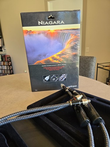 AudioQuest Niagara 1 Meter Pair RCA Interconnect - Silver Wire ...