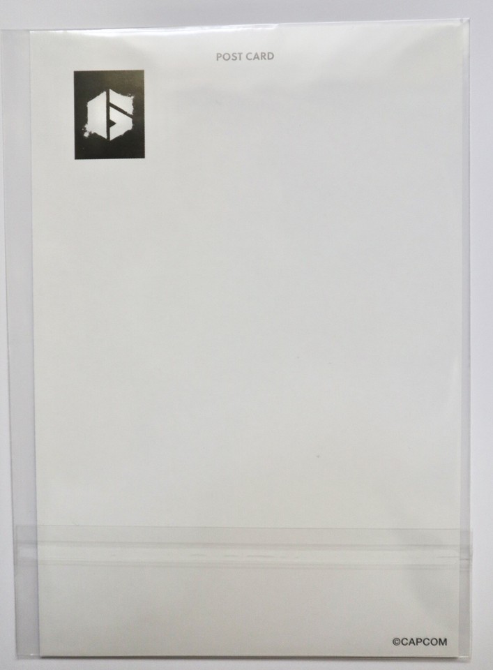 CAPCOM STREET FIGHTER6: Cammy Post card ×2 SF6 Japan | eBay