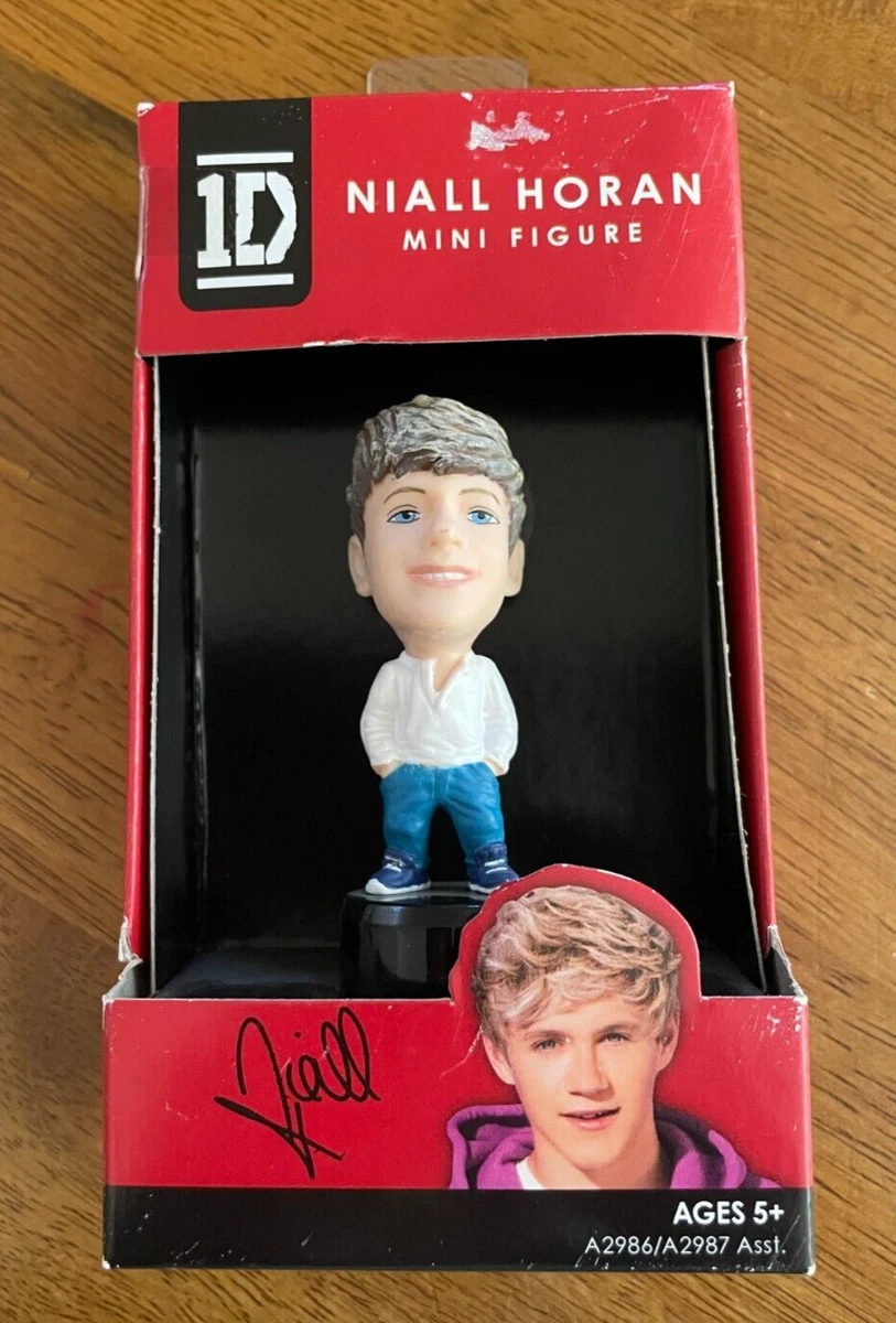 Mini One Direction Students