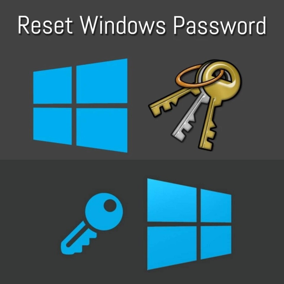 Windows and Linux Password Reset Recovery Cracker Bootable USB Thumb ...