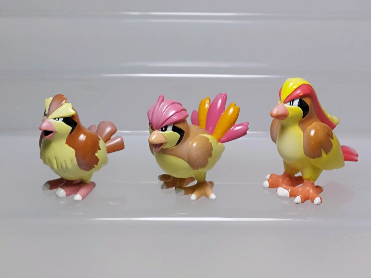 Pidgey Pidgeotto Pidgeot