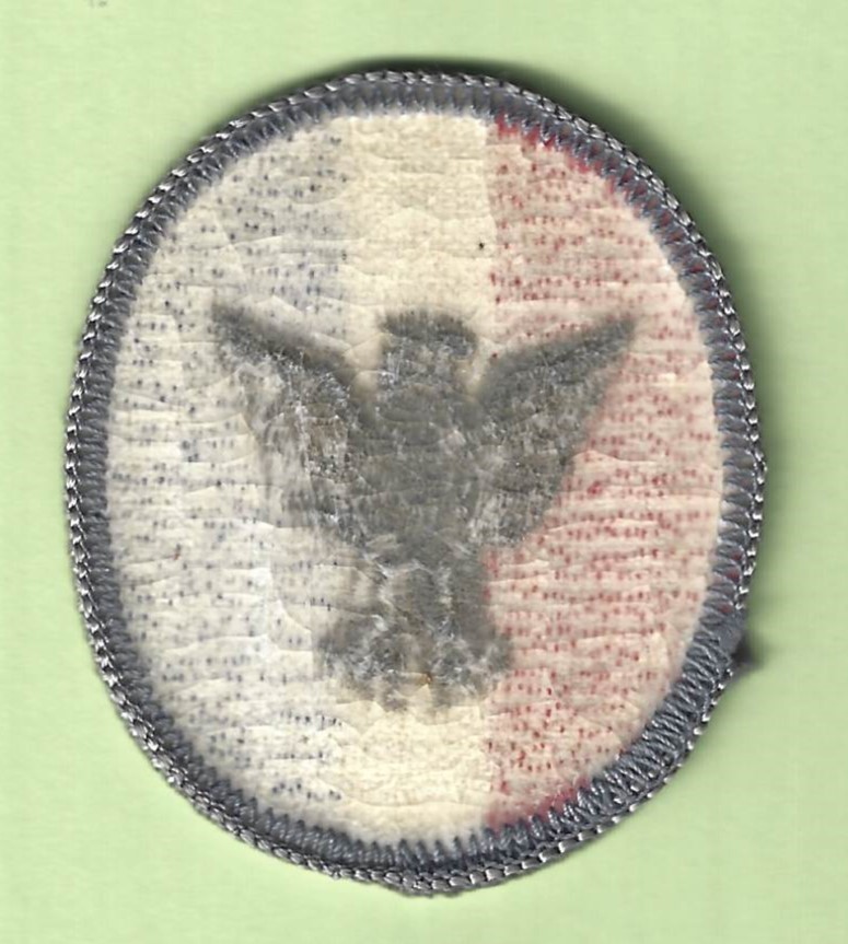 Eagle Scout rank badge no lettering with feathers, clear plastic back ...