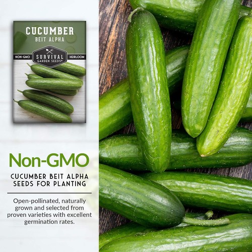 Survival Garden Seeds - Beit Alpha Cucumber Seed for Planting - Pack ...