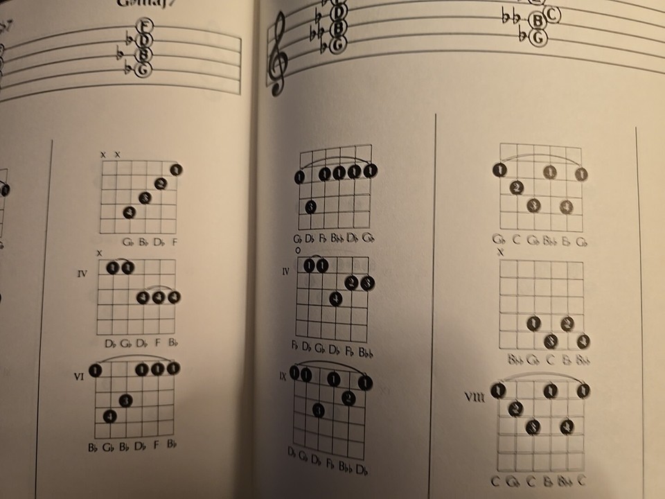 Play Guitar Chords Without Fretting P La Cerra 400 Easy to Read Chord ...