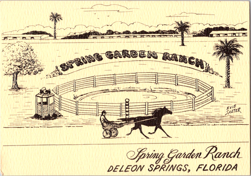 Vintage Postcard Spring Garden Ranch DeLeon Springs Scenic View | eBay