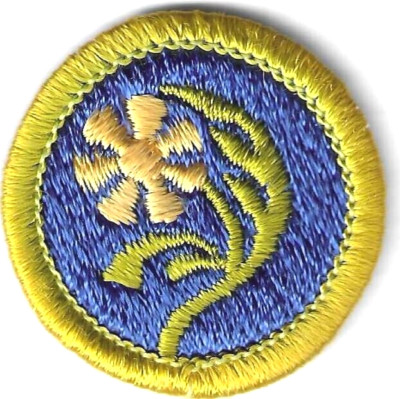 BSA BOTANY MERIT BADGE 1995 Discontinued TYPE H PLASTIC BACK #3 YELLOW ...
