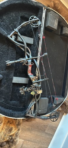 Hoyt Carbon Matrix Plus | eBay