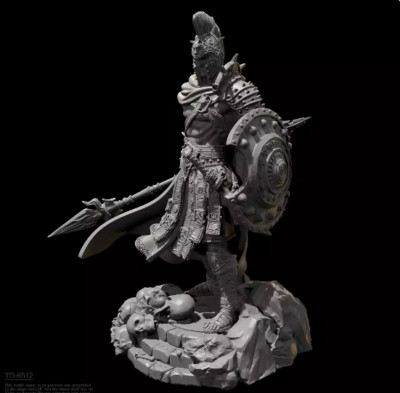 75mm Figure Height Resin Female Warrior Elf Unpainted Unassembled td ...