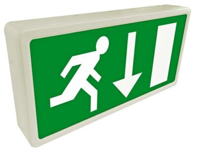 LED EMERGENCY EXIT BOX MAINTAINED, DEPTH 60MM, IP / NEMA RATING IP20 ...