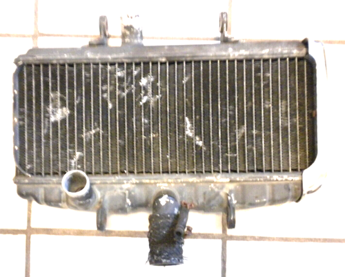 SUZUKI GT750 LEMANS GT 750 WATER BUFFALO RADIATOR | eBay