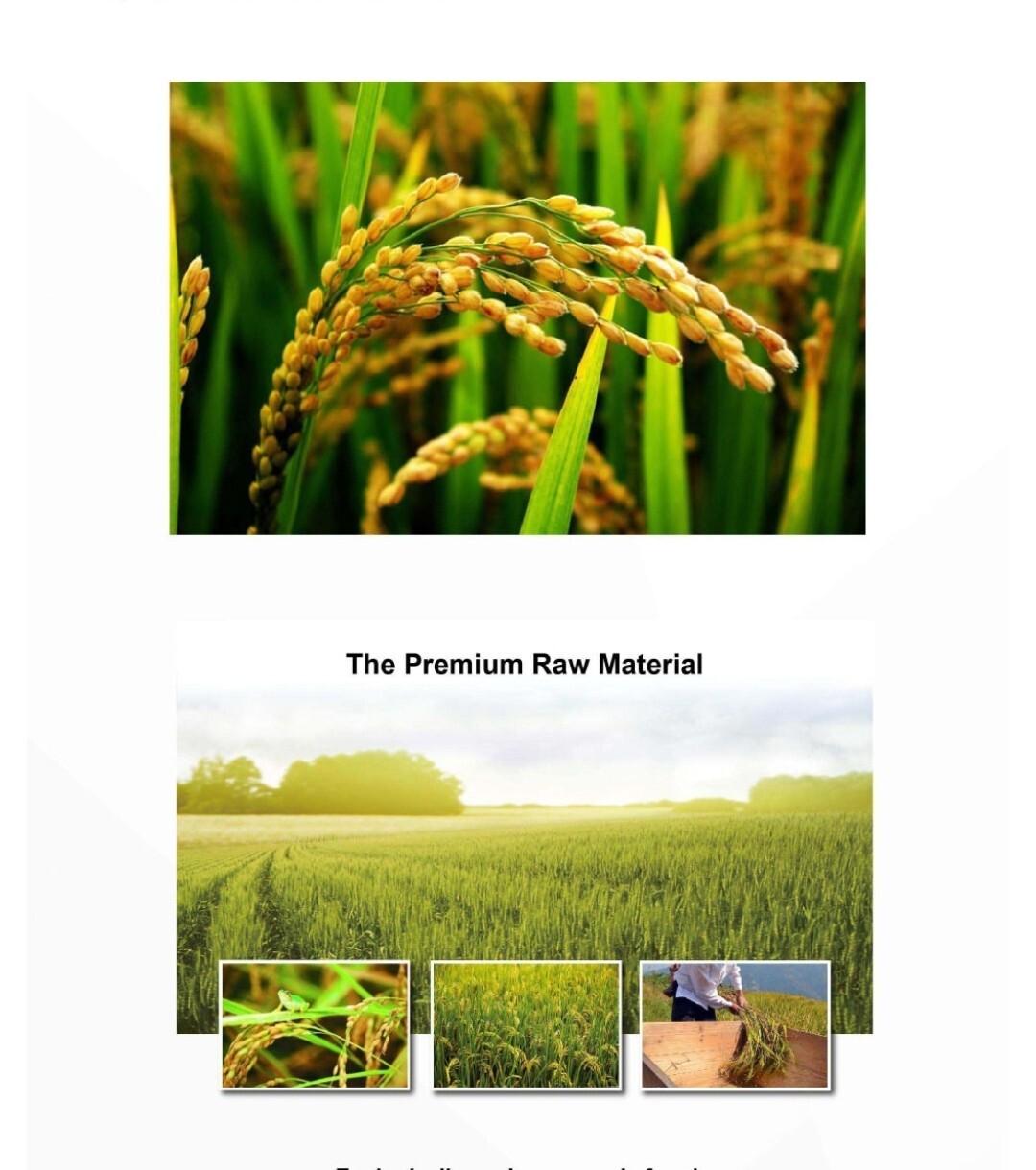 Alpha Meta Organic Oryza Cereal Drink 25 bags/box (250gm) system booster/ | eBay