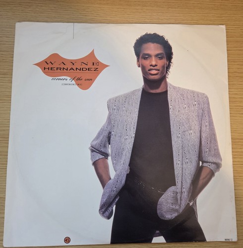 WAYNE HERNANDEZ / SOUL AND FUNK / 12 INCH VINYL / CORNERS OF THE SUN ...