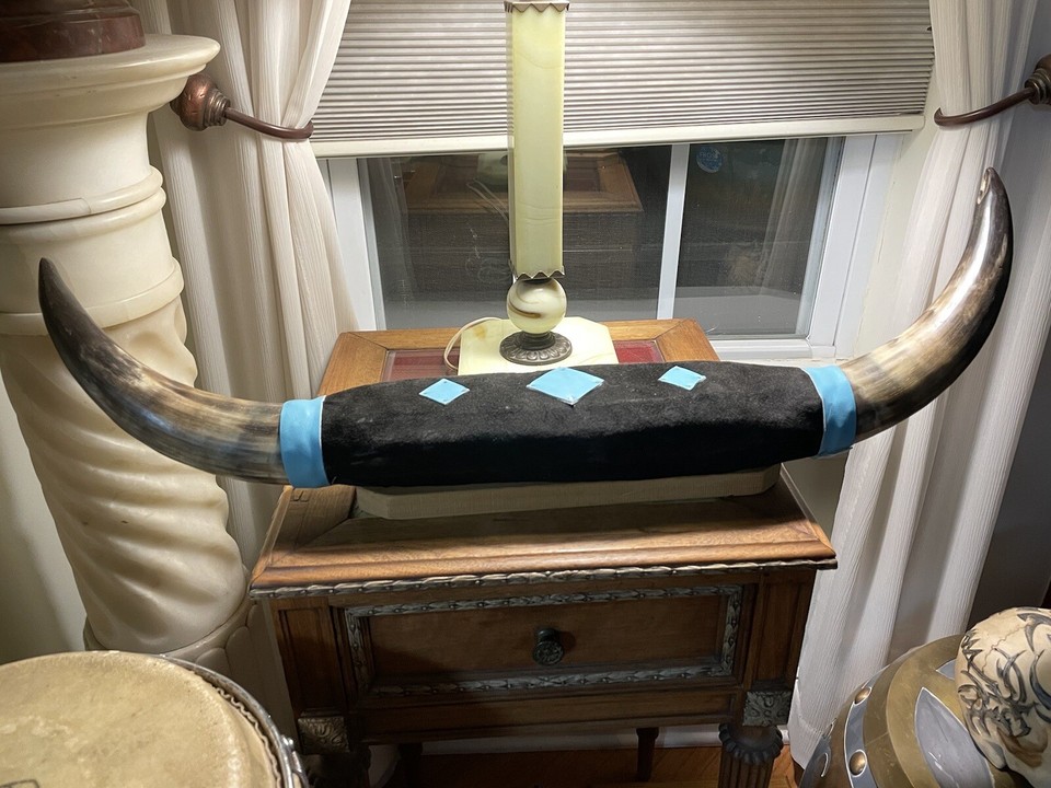 Mounted Bull Horn 27” Wide | eBay
