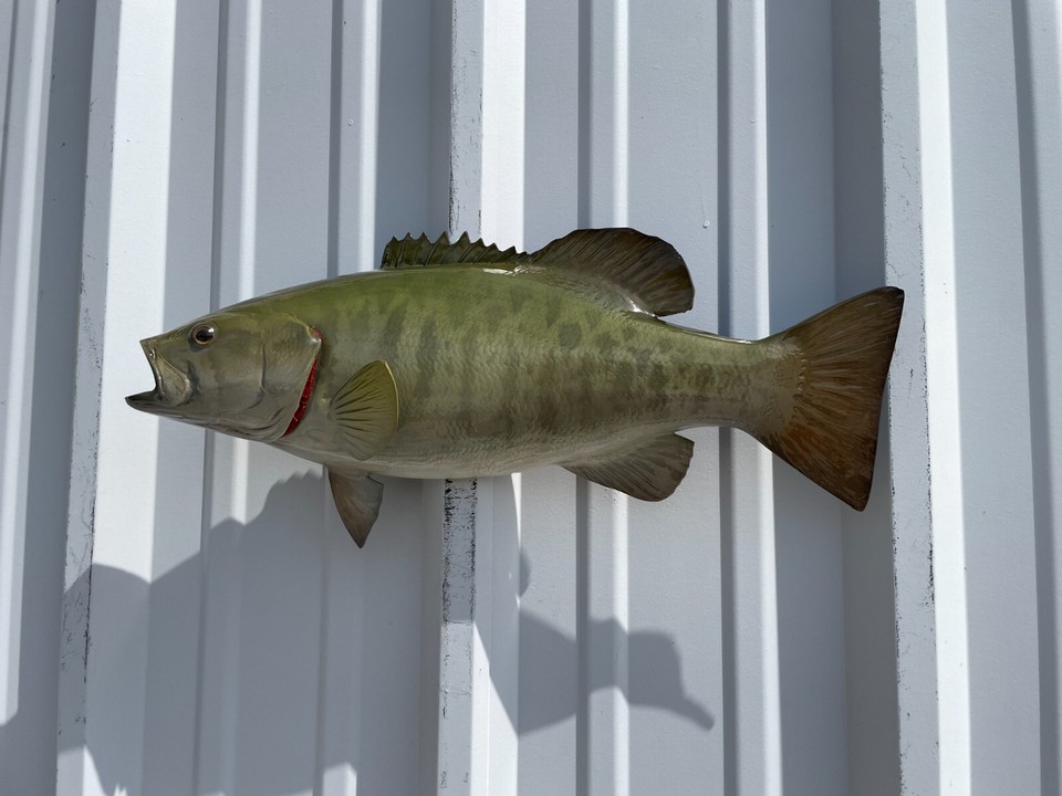 20" Smallmouth Bass (Green) Half Mount Fish Replica - Quick Production ...