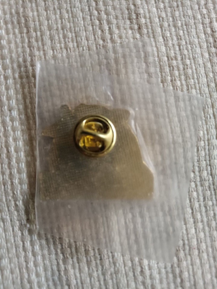 RCA DSS Digital Satellite System Pin | eBay