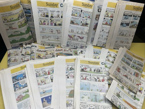 Lot Of 21 Flint Journal Sunday Newspaper Comics Section From January ...