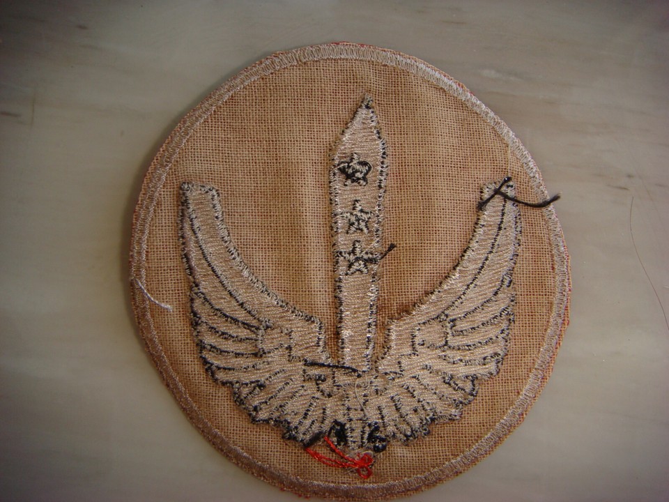 ARVN PROVINCIAL RECON UNIT PRU TEAM, VIETNAM WAR PATCH | eBay