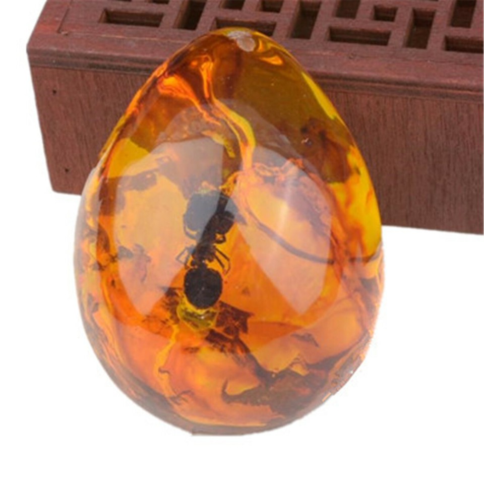 Resin Amber Butterfly Scorpion Crabs Ants Spider Insect Stone Pendant ...