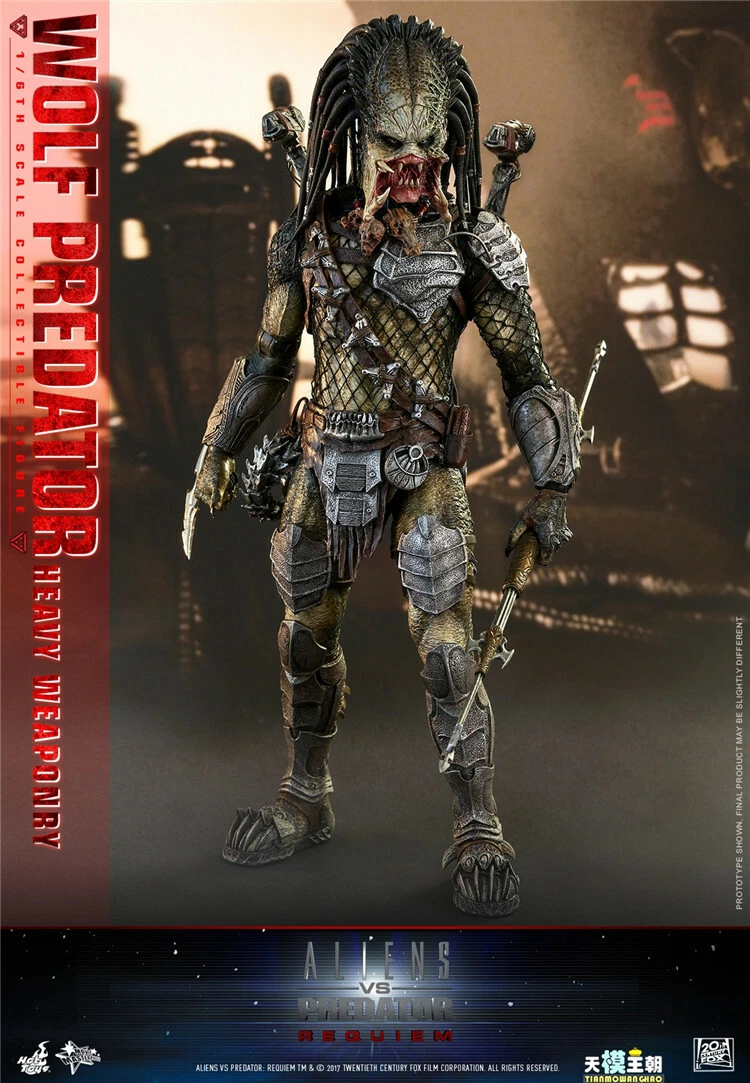 Wolf Predator Face