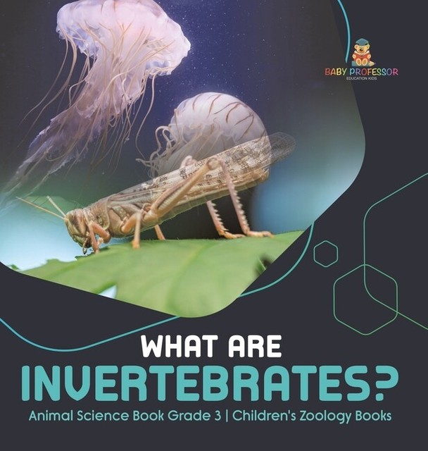 What Are Invertebrates? Animal Science Book Grade 3 Children's Zoology ...