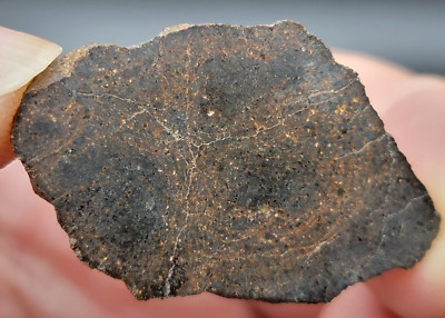 NWA 4874 (7.998g) Brachinite Meteorite, Polished Slice, IMCA Sellers | eBay