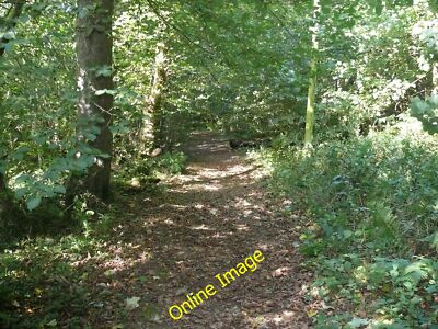 Photo 6x4 Lochside Plantation Monreith Picture of the path as it works ...