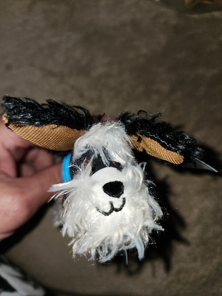 Hotel For Dogs Romeo