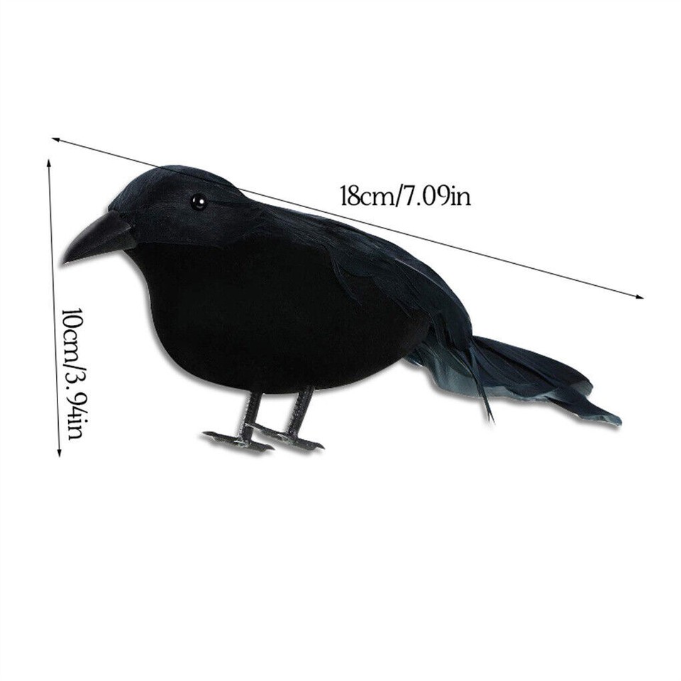 6Pcs Black Lifesize Raven Movie Prop Fake Crow Halloween Hunting Decor ...