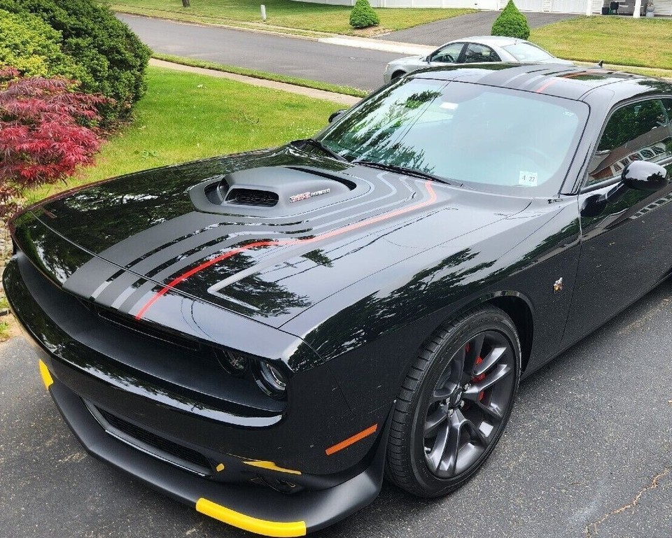 Shakedown Shaker Stripes For Challenger Dodge Decal Sticker GT R/T ...