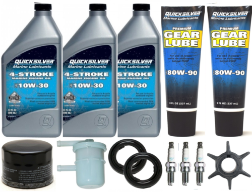 Oil Impeller Plugs & Filter SERVICE KIT for 30HP SUZUKI DF30 4-Stroke ...