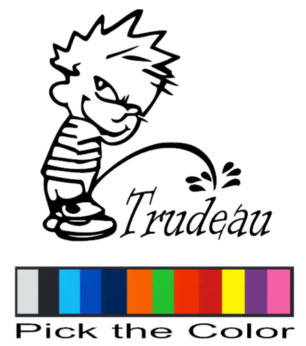 Vinyl Decal Bumper Window Car Truck Sticker Trudeau Suck Truckers ...