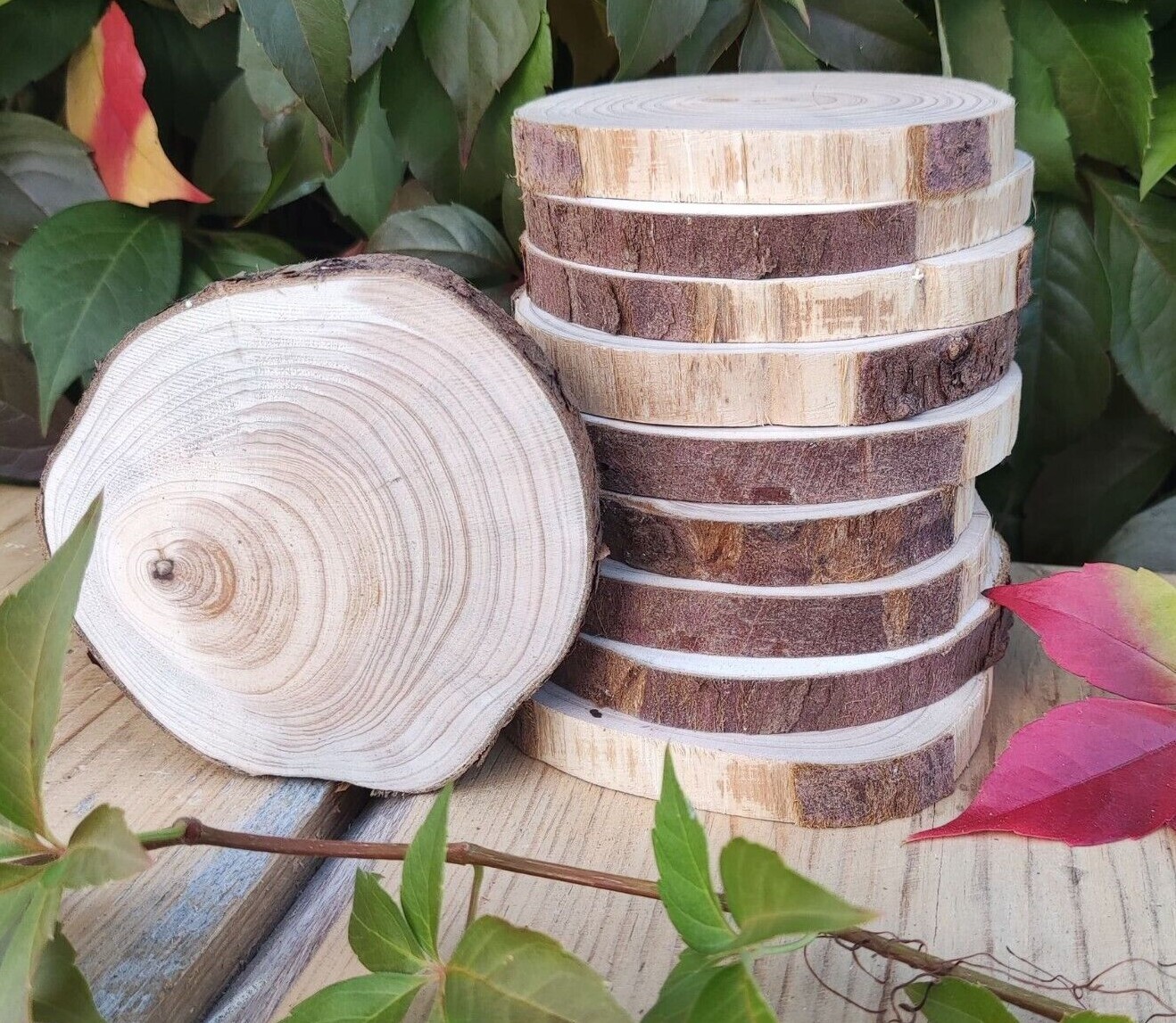 Wooden Slices LOCAL 2-18CM Wood Log Discs Round Wedding Rustic Crafts ...