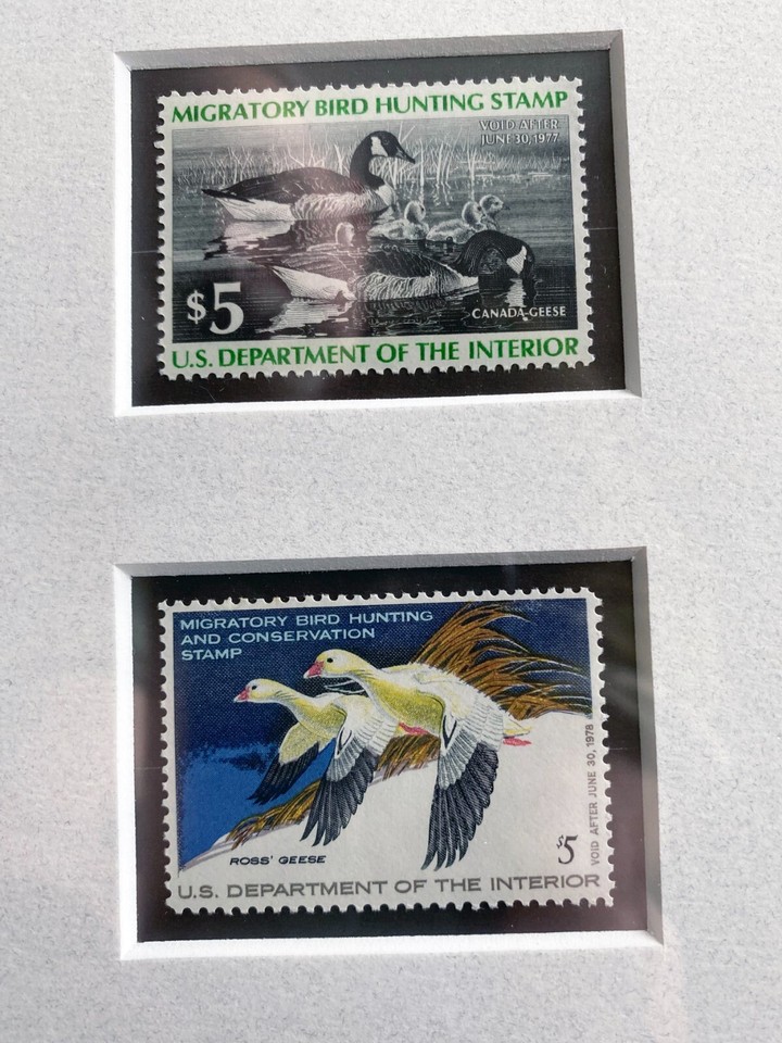 🔥 40 Federal Duck Stamps 1960-1999 Custom Framed by Decade w/ Brass ID ...