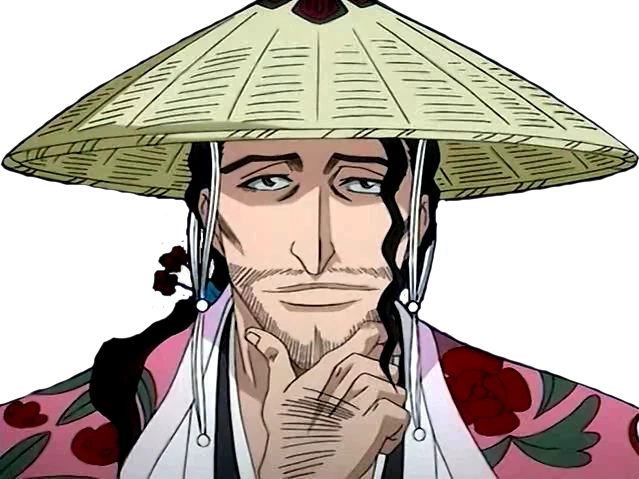 Bleach Captain Shunsui