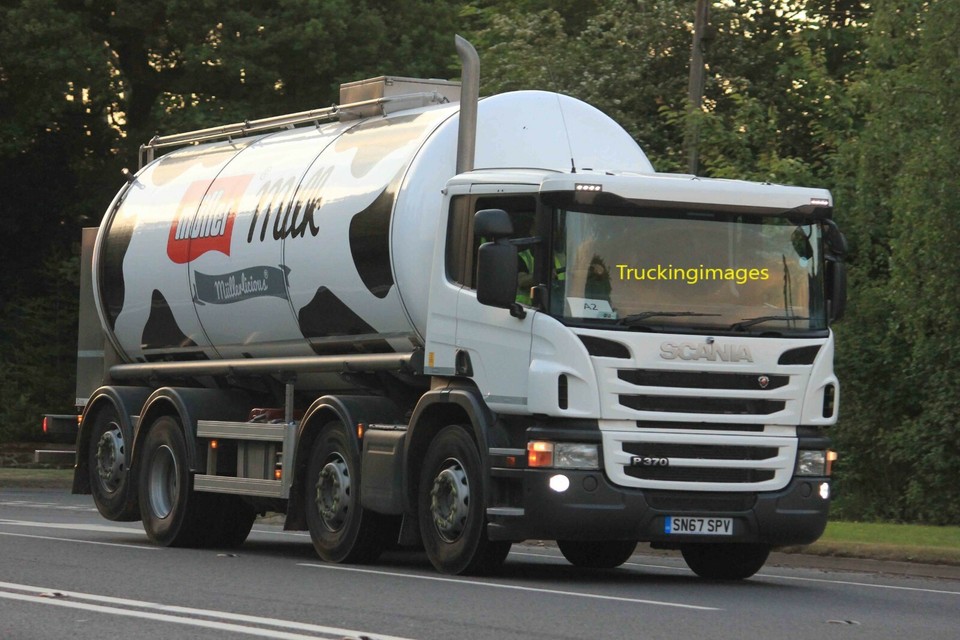 TRUCKINGIMAGES TRUCK PHOTOS - MILK TPT MULLER WISEMAN MMID TRUCKS - 250 ...
