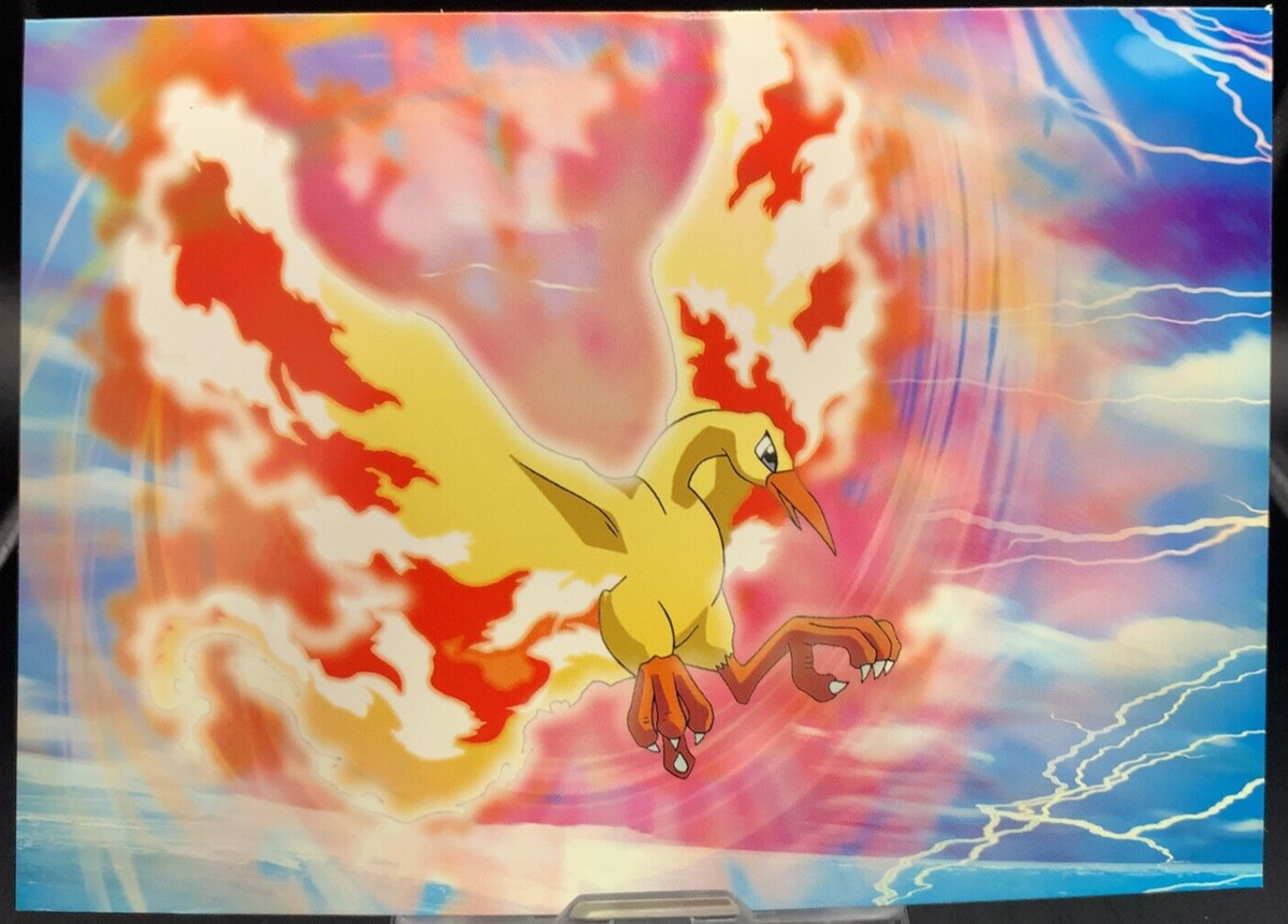 Moltres Pokemon Drawings