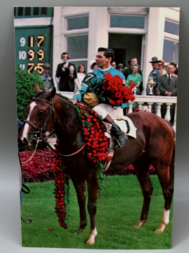 Northern Dancer Kentucky Derby Winner Postcard Louisville KY | eBay