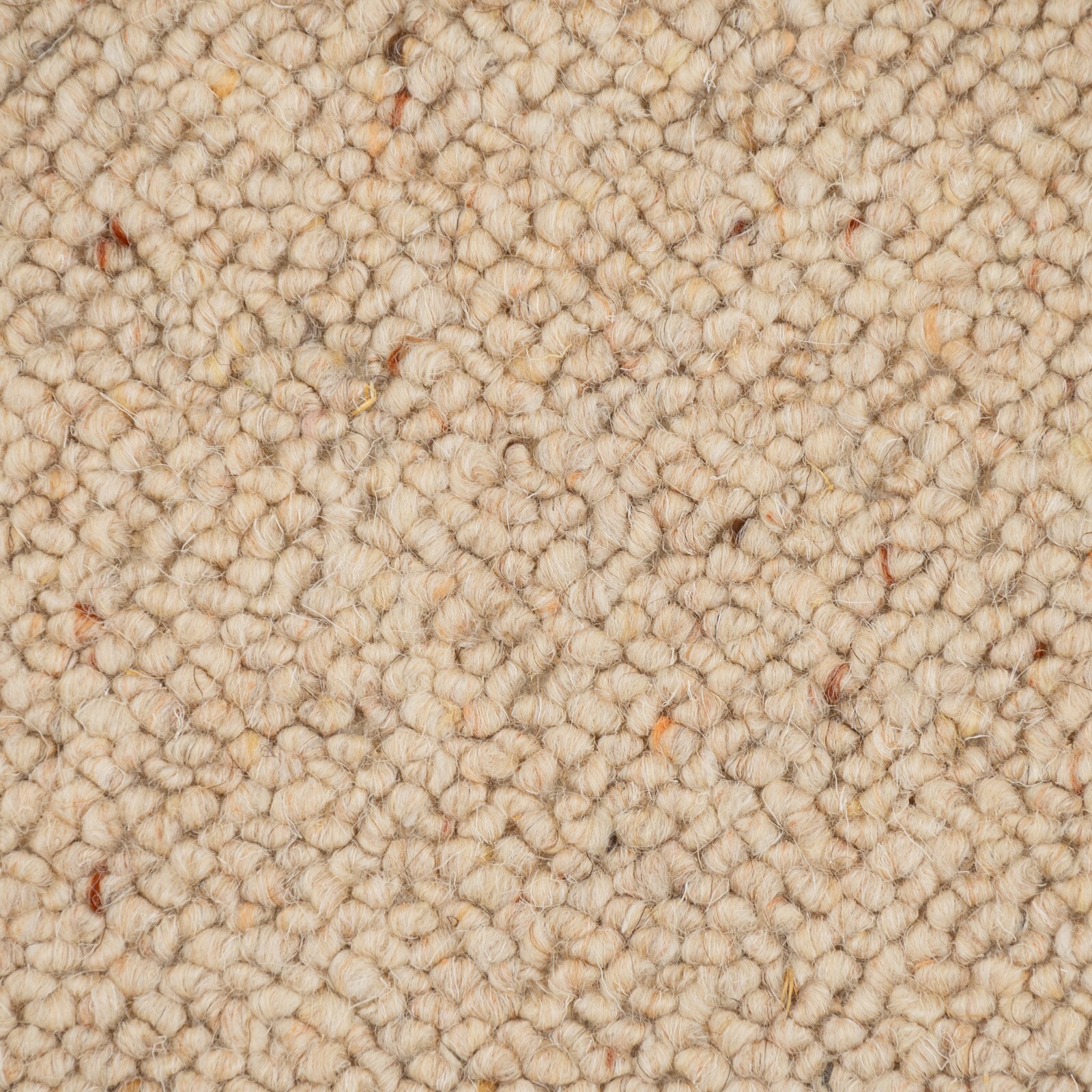 Cream / Beige 100% Wool Berber Carpet Quality Loop Pile Actionback ...