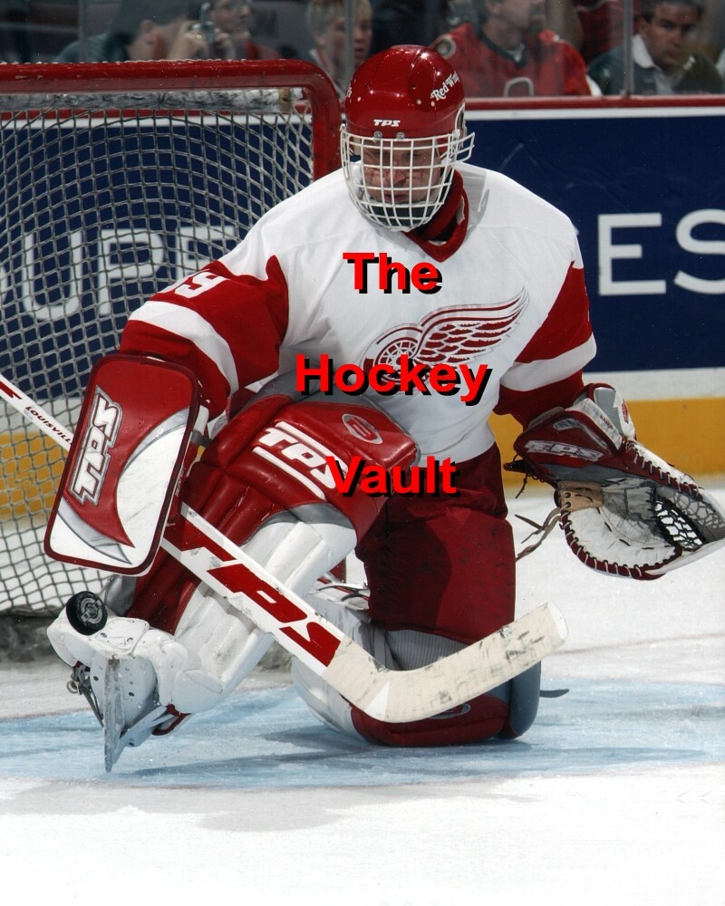 Dominik Hasek Former Red Wings Dominik Hasek, Mike Modano Among Hockey