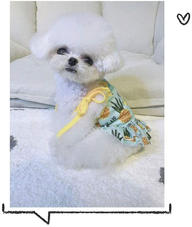 Pineapple Fruit Dog Cat Dress Up Fun Pet Costume Cosplay Halloween ...