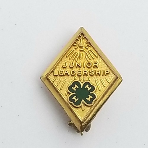 Vintage 4H 10K Gold Filled Junior Leadership Enamel Lapel Service Award ...