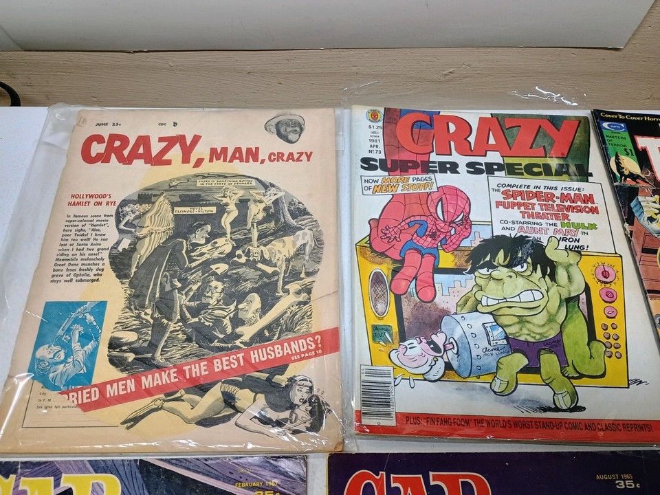 Lot Of 5 Magazines, 2 Cartoons, 1 Crazy Man, 1 Crazy & 1 Sick 1960s 70s ...