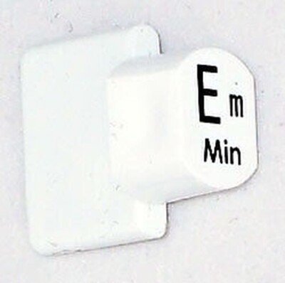 Ashbury Replacement Em Autoharp Key, Autoharp Accessories, at Hobgoblin ...