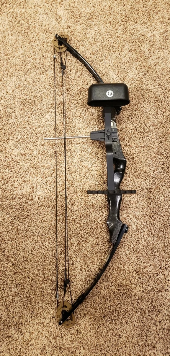 Older Martin Compound Bow