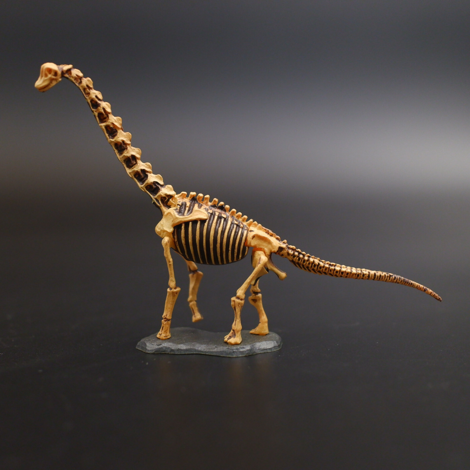 Brachiosaurus Skeleton Model