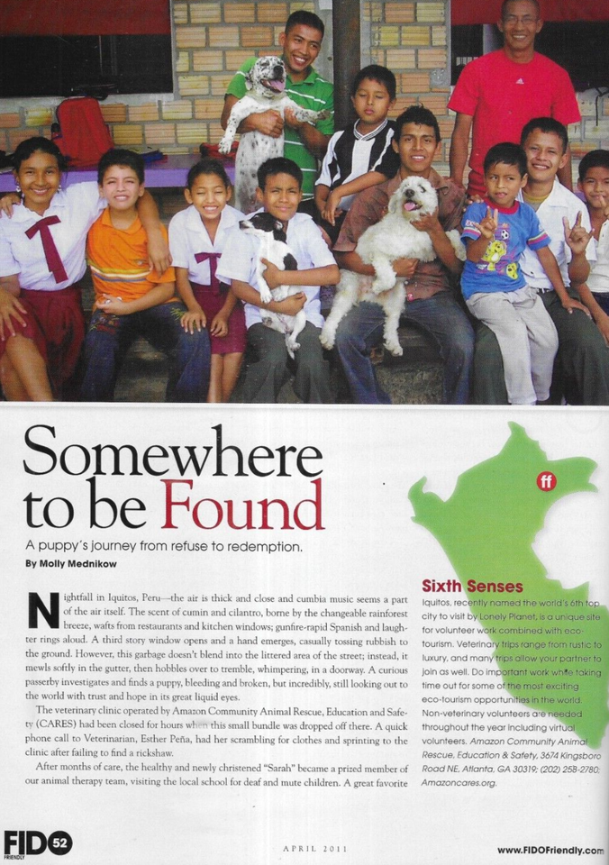 Fido Dog Magazine Alison Sweeney Best Bed and Breakfast Home Makeovers ...